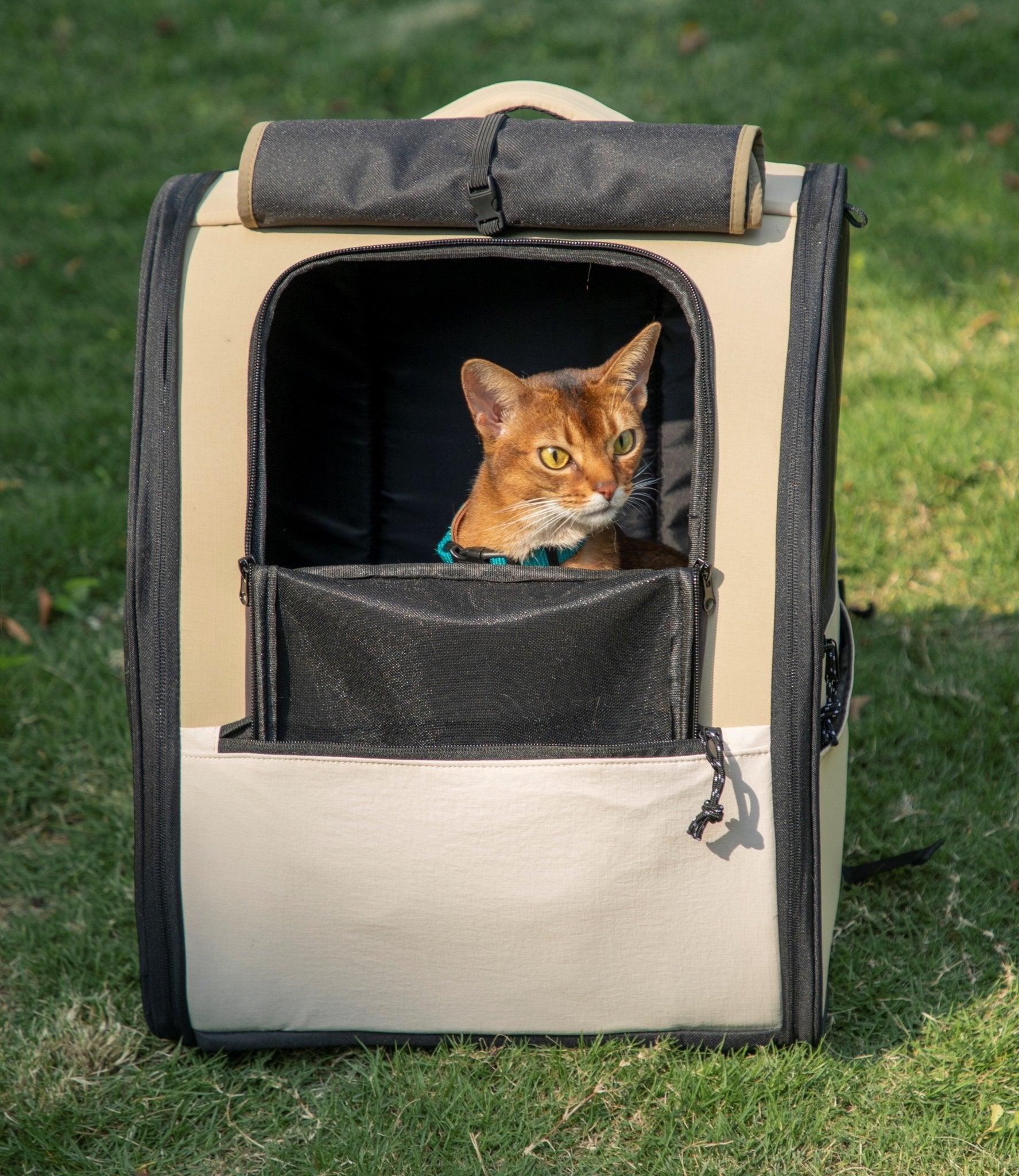 Home / Knowing your Friends better